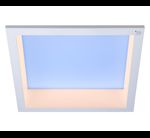 Cadiant® Dynamic Skylight | Indoor Lighting | Cree Lighting